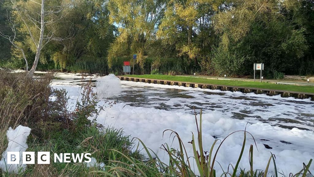 'Foam-like' substance spotted on Suffolk river surface - BBC News