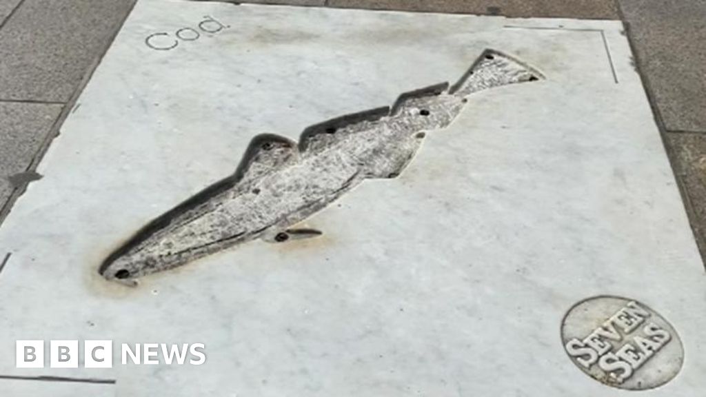 Hull Fish Trail cod artwork disappears from city street - BBC News