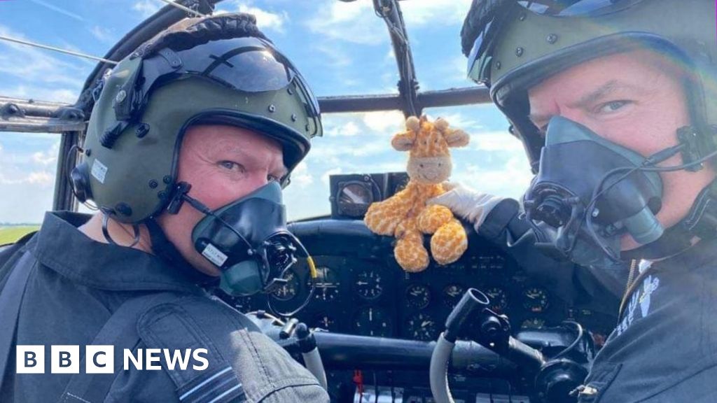 Geoffrey the Giraffe: Pilots' tribute in memory of girl - BBC News