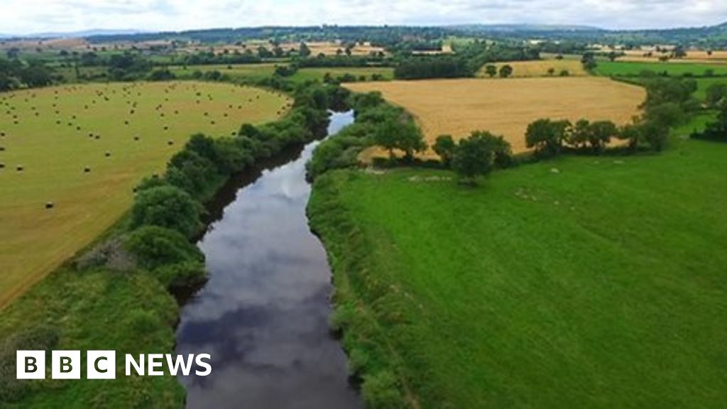 Drone captures aerial view of River Severn - BBC News