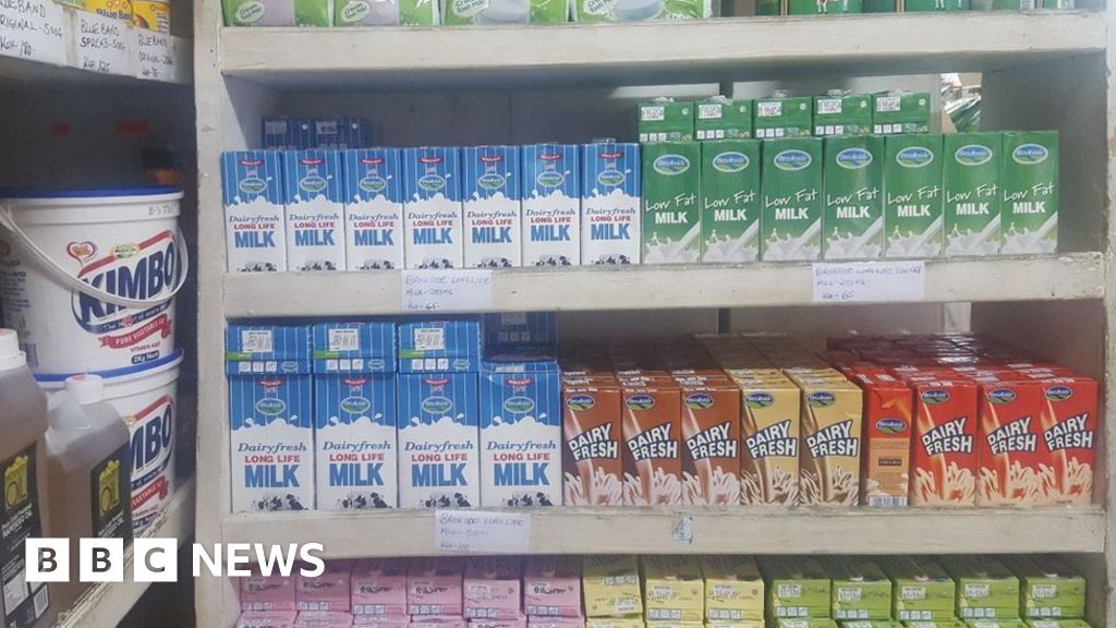 Kenya election triggers Nairobi exodus - BBC News