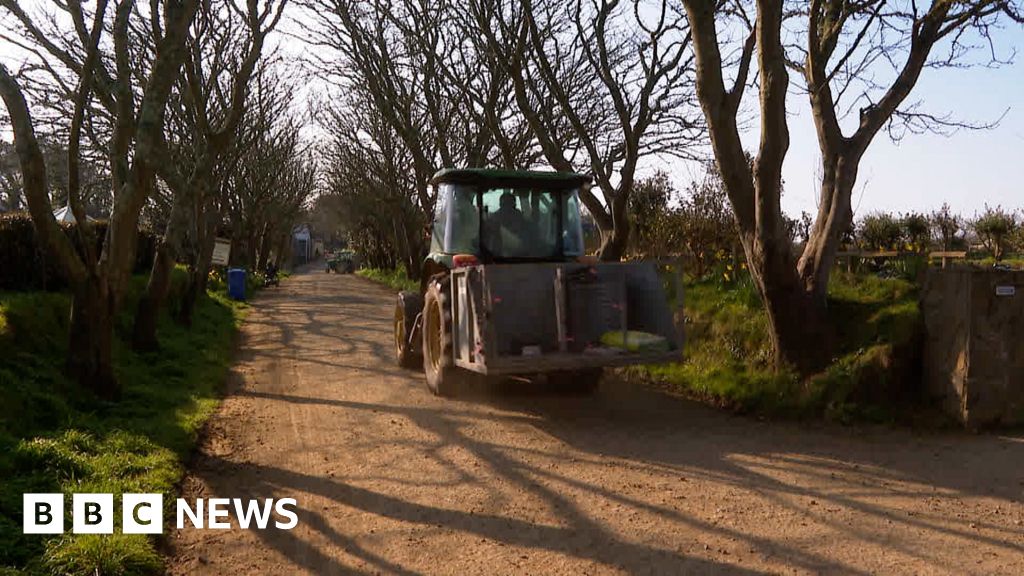 Sark census puts population at 562 - BBC News