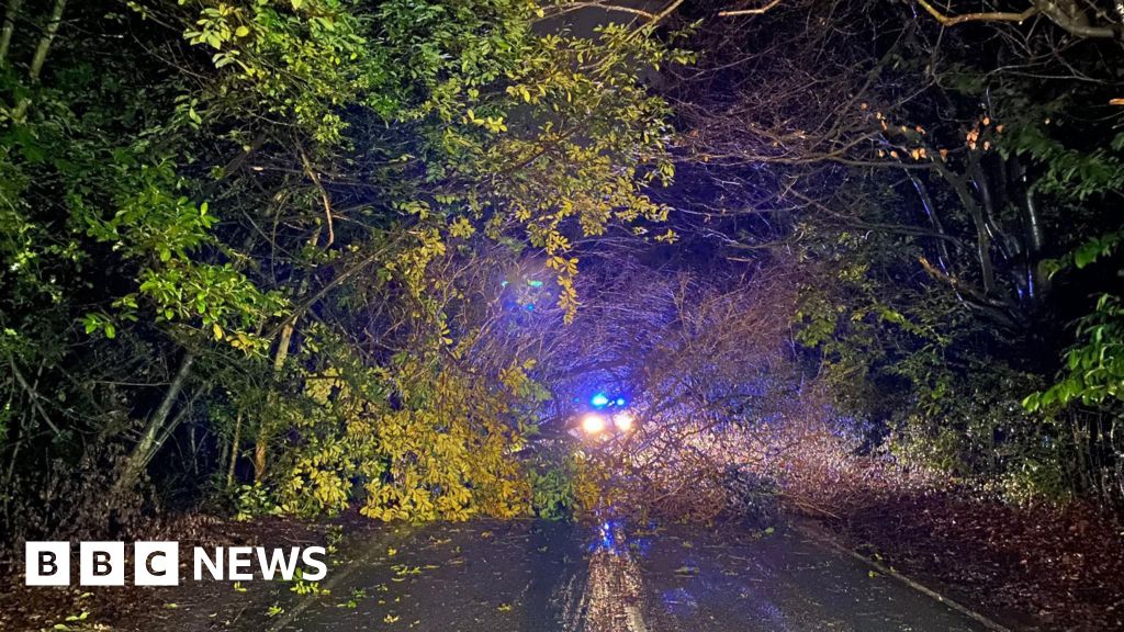 Damage and disruption across West Midlands after storm Isha - BBC News