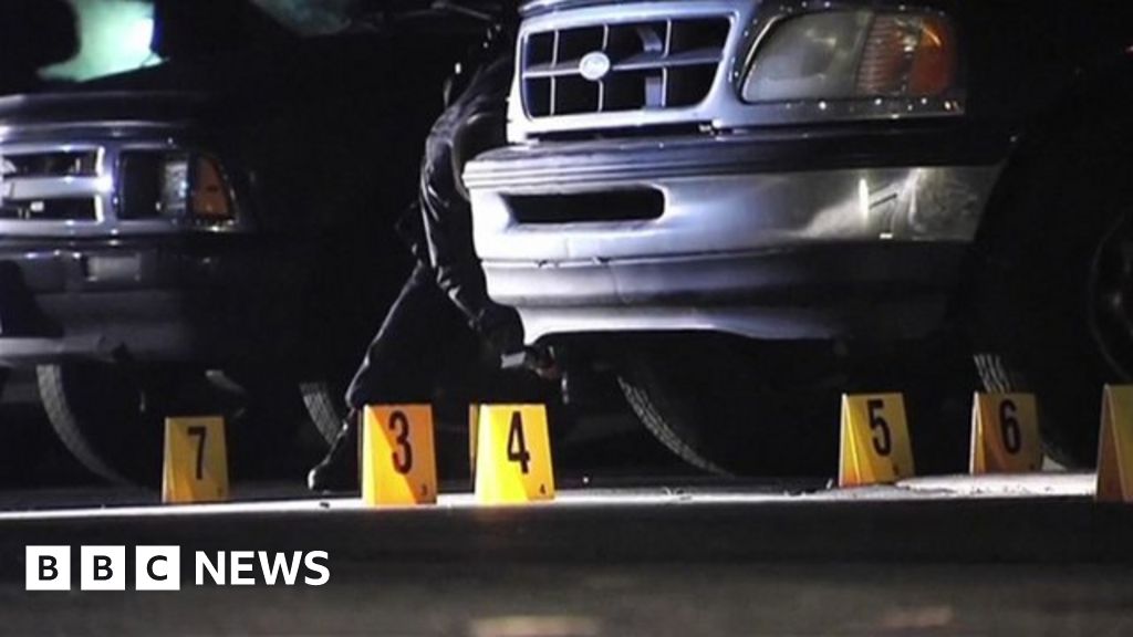 Michigan shootings: 'Police find gun in vehicle' - BBC News