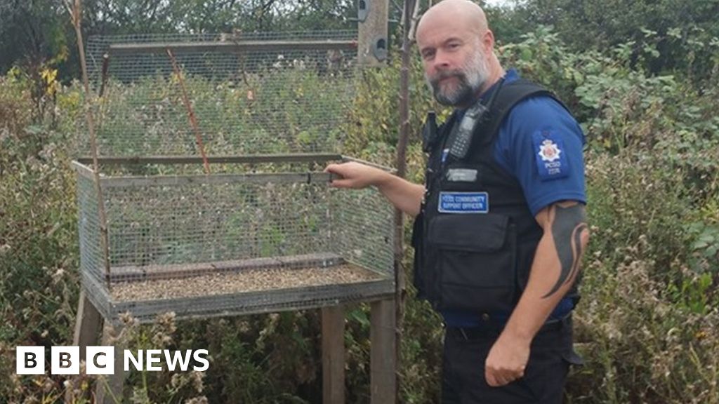 Essex Police warning after finding Wickford finch trap - BBC News