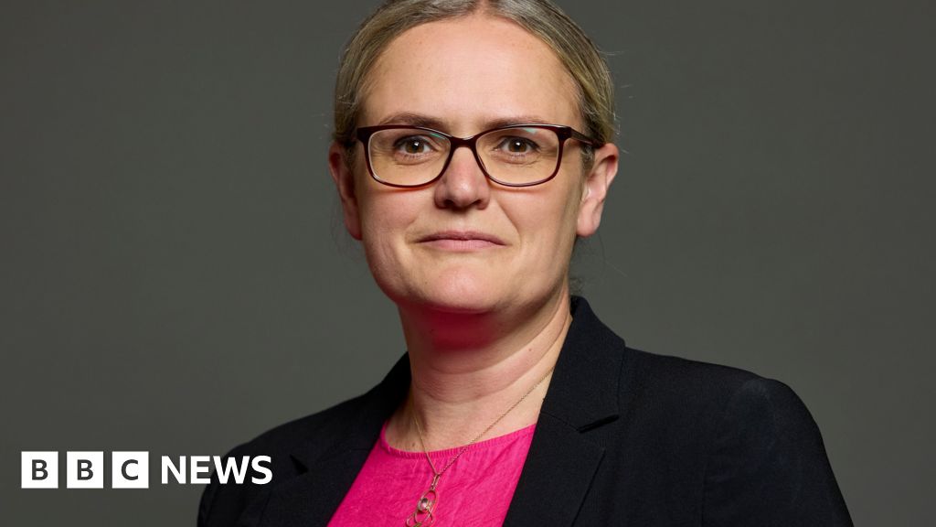 Rise of trolling 'damaging political debate', says new MP