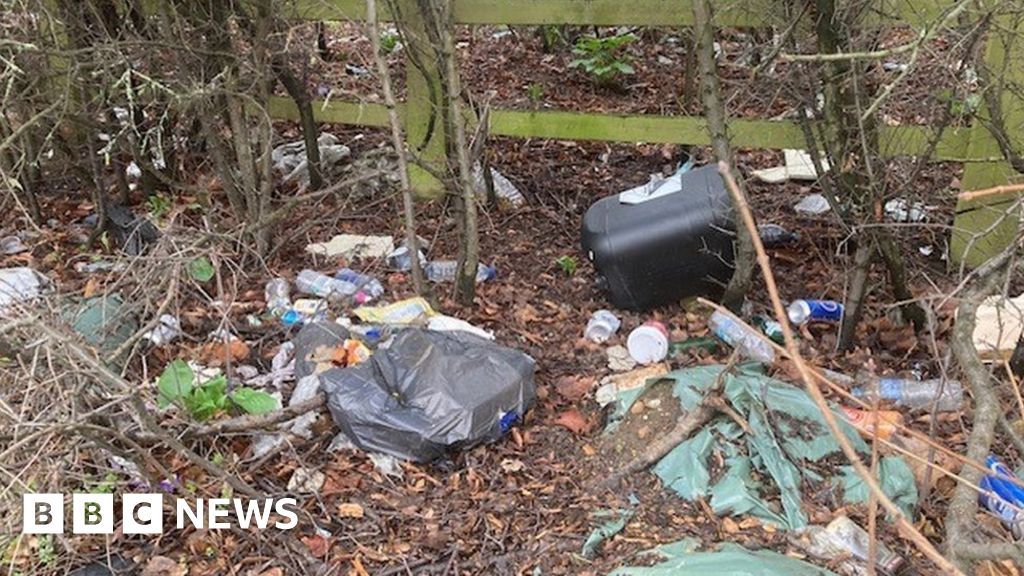 South Essex Wildlife hospital warns littering is killing animals - BBC News