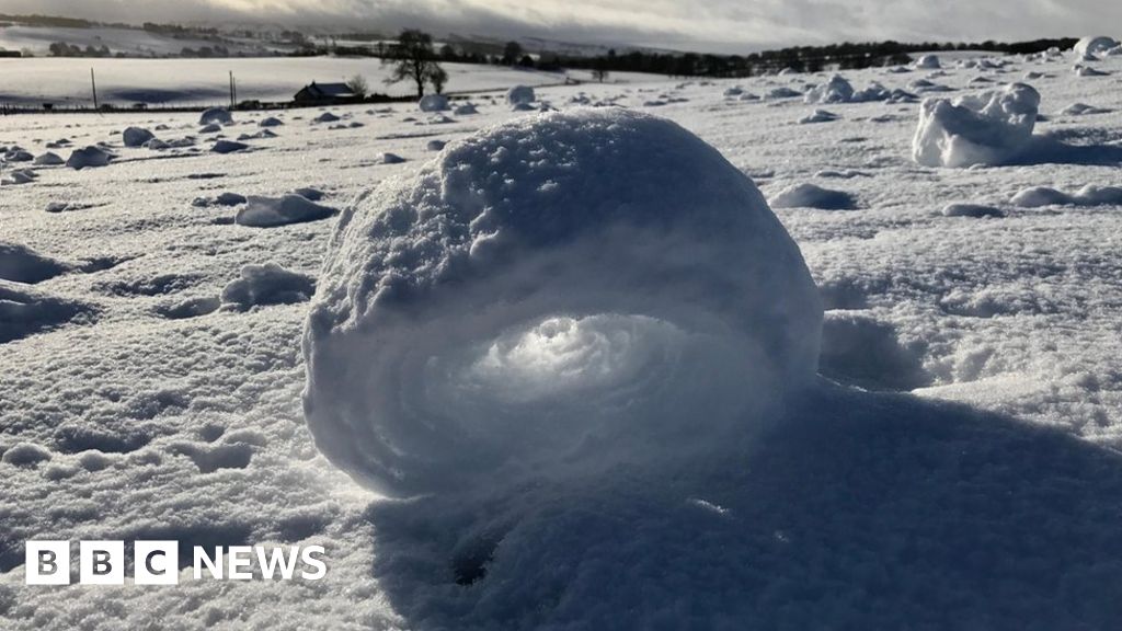 Snow roller - nature's own snowball