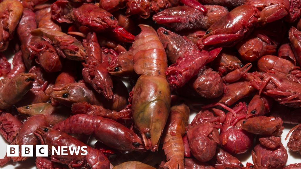 Why China is crazy for crayfish - BBC News