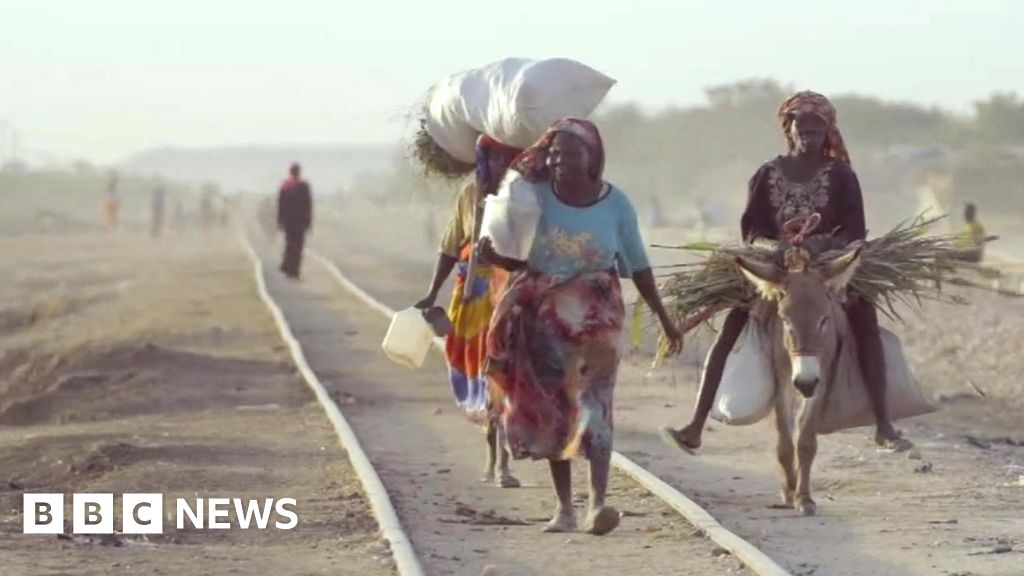 The ongoing struggle for peace in Darfur - BBC News