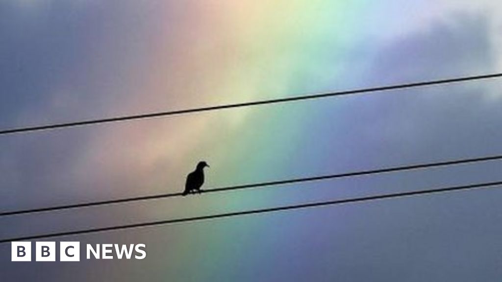 NIE Networks: Power infrastructure firm changes name - BBC News