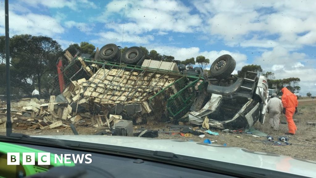 Bees swarm rescuers after fatal lorry crash in Australia