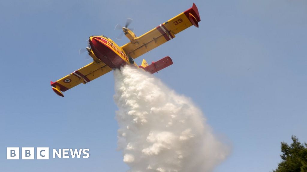 'Criminal hand' started Portugal fires - fire chief - BBC News