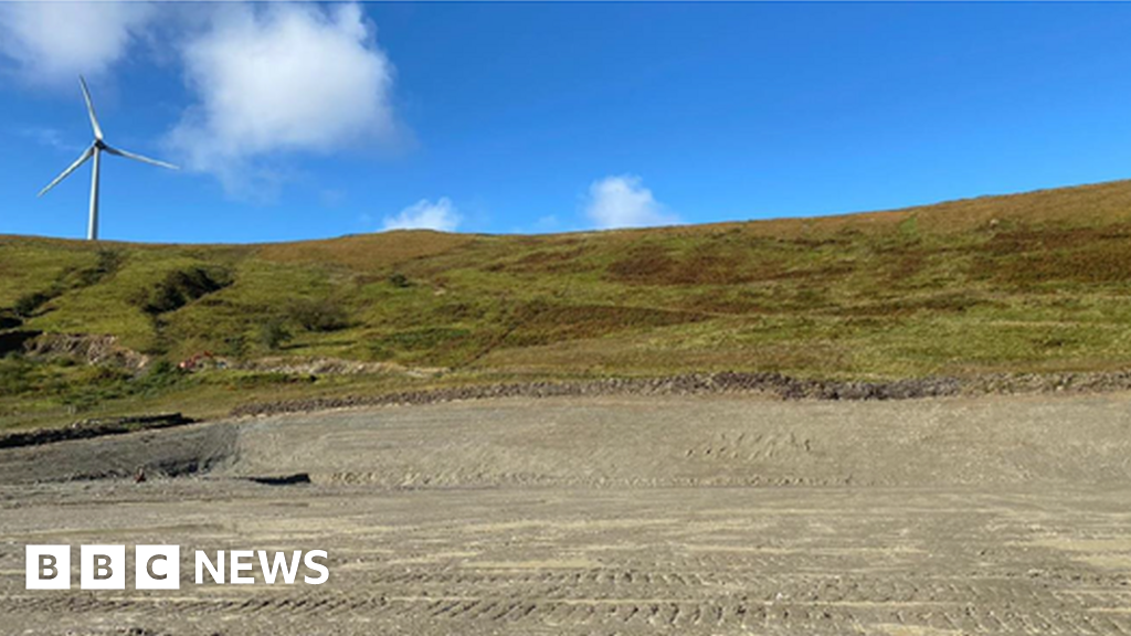 Dumfries and Galloway cannabis farm gets agency funding