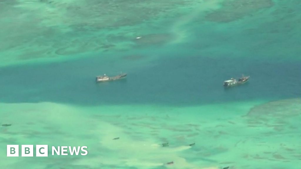 Chinese poachers destroying coral reefs - BBC News