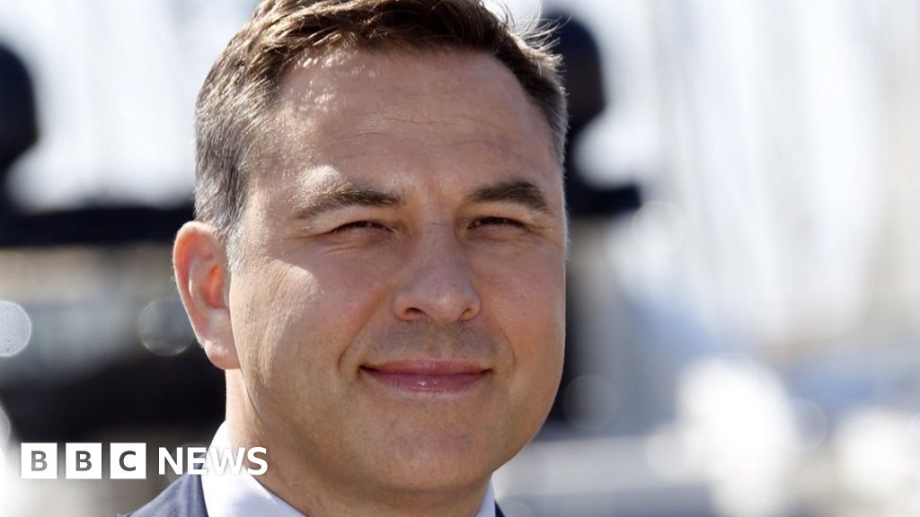 David Walliams among £1 World Book day authors - BBC News