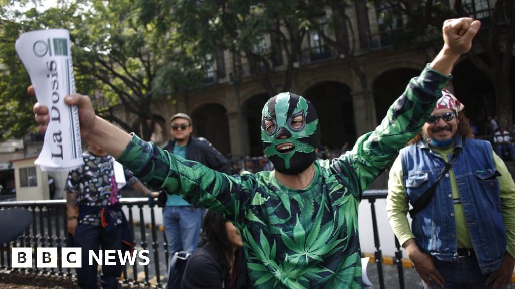 Mexican marijuana activists on a high after Supreme Court ruling - BBC News