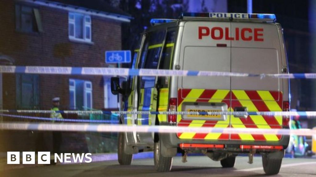 Brighton police officer drove 'excessively fast' before fatal crash ...