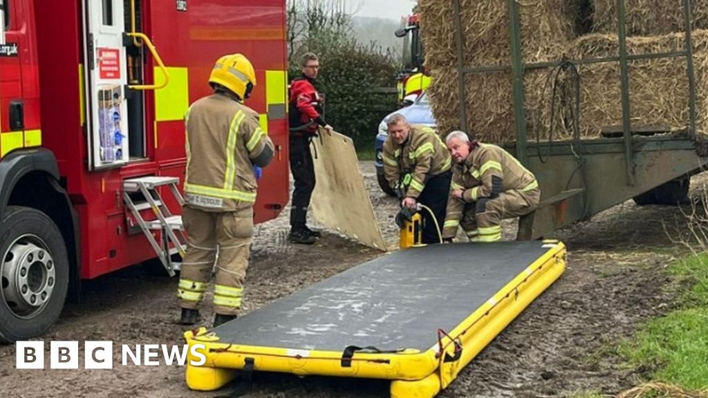Trapped cows rescued from slurry pit near Gillingham - BBC News