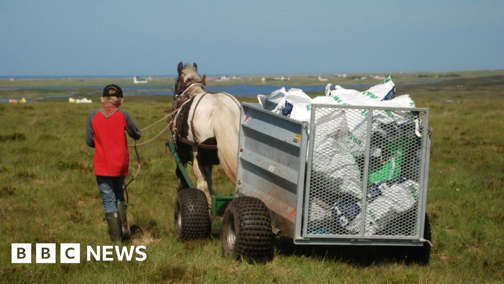 Capturing the unique rhythm of Scottish crofting life - BBC News
