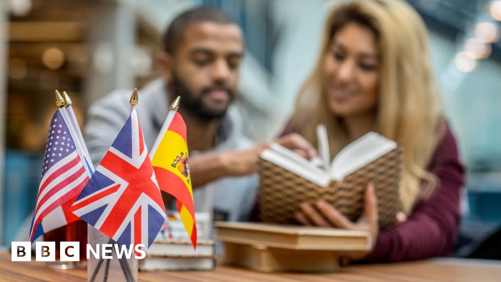 No-deal Brexit fears for Erasmus student exchange scheme - BBC News