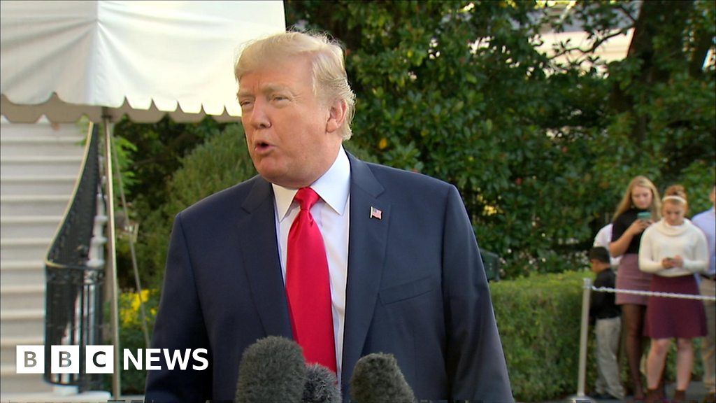 Trump: 'We hit IS 10 times harder after NYC attack' - BBC News