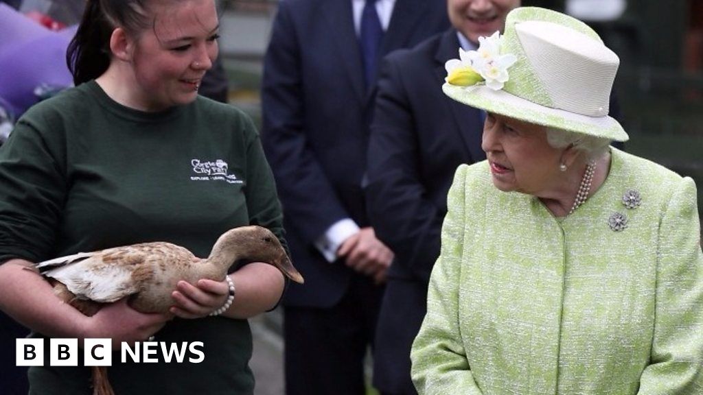 When the Queen met Olive... the duck - BBC News