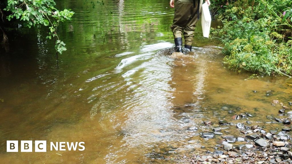 South West Water among worst in England for pollution - report