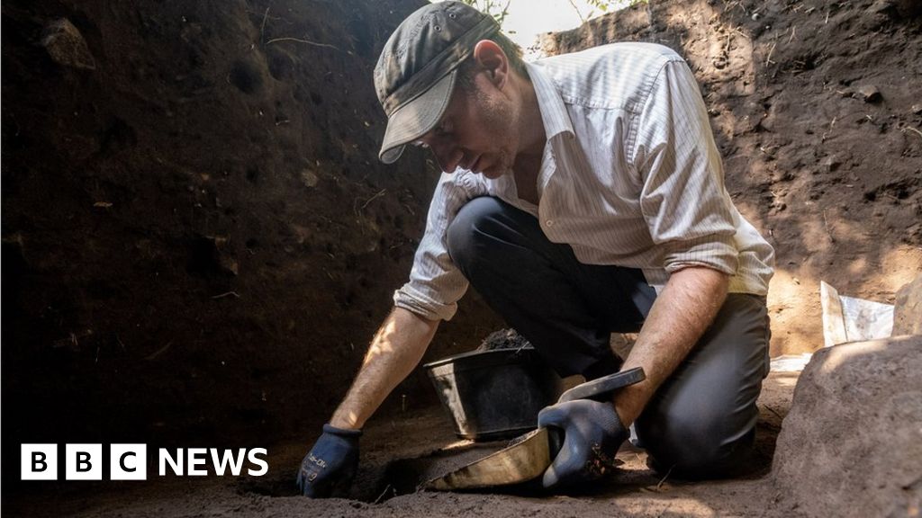 University of Exeter at heart of rock art discoveries - BBC News