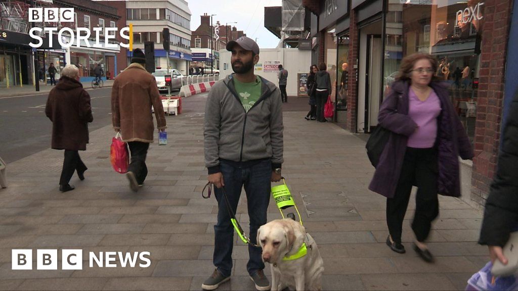 What I've learned from my guide dog's 'spy cam' - BBC News
