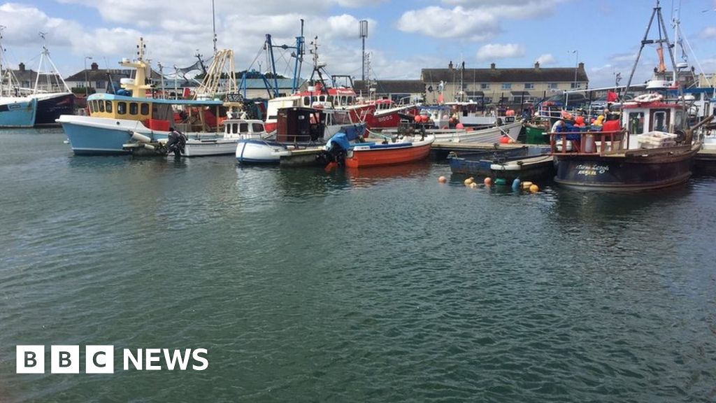 Portavogie harbour awarded £2.6m government grant - BBC News