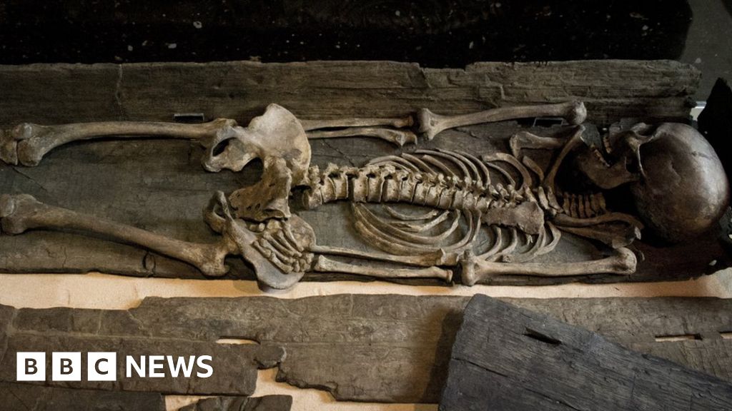 Viking skeleton goes on display in York - BBC News