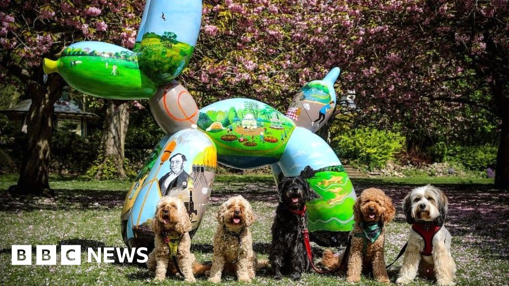 Swindon art trail showcases balloon shaped dog sculptures - BBC News
