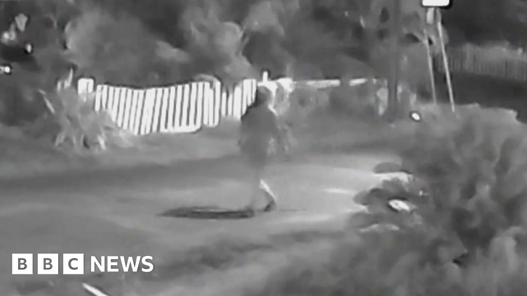 Florida police search for suspect linked to three murders - BBC News
