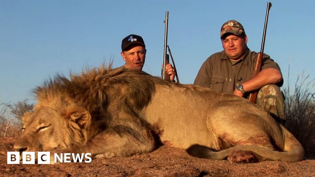 Arsenal's Kroenke curbs animal hunting viewing on app