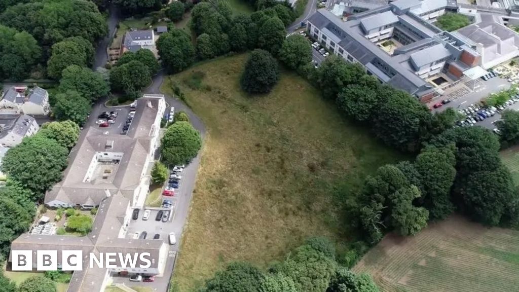 Committee asked to halt housing plan near Princess Elizabeth Hospital ...