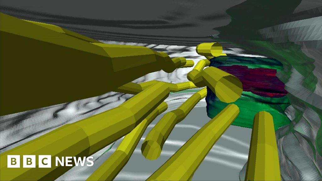 Flying through the inside of a cell - BBC News