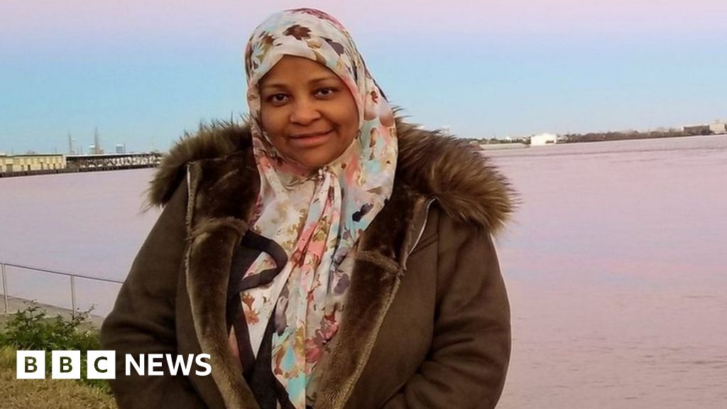Detained US-born Iranian reporter released from US custody - BBC News