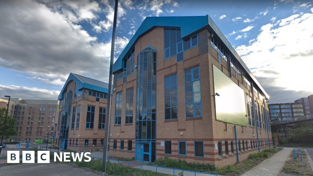 Hartlepool Labour mayor resigns over 'ignored abuse' - BBC News