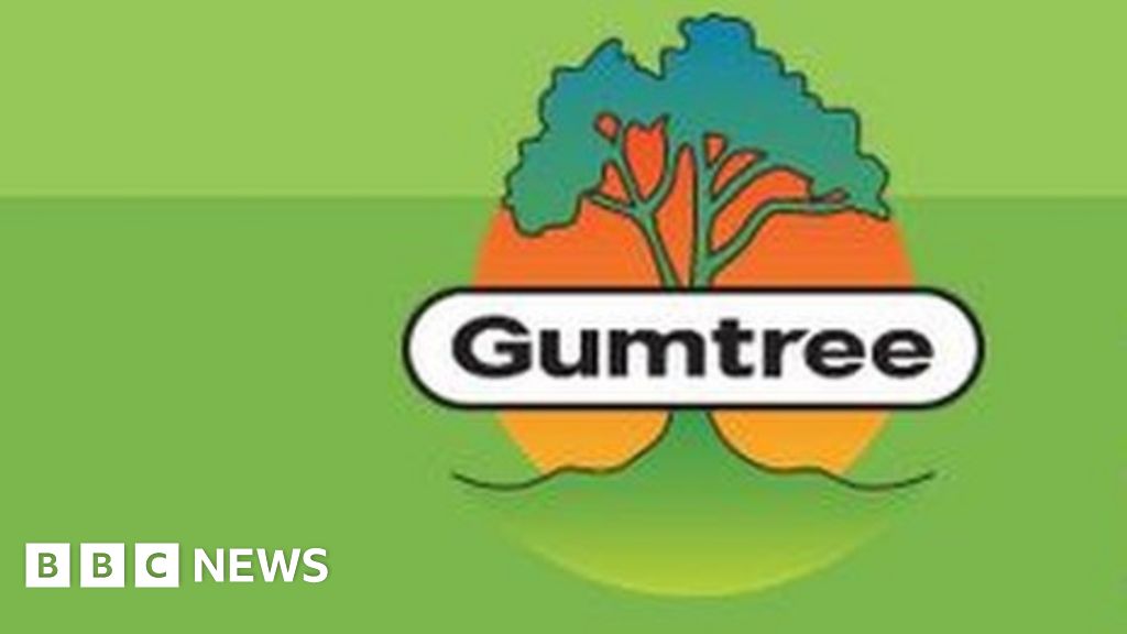 South African Gumtree 'baby sale' mother pleads guilty - BBC News