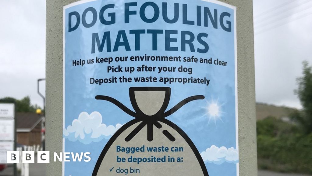 North Devon dog poo message 'laughed at BLM' - BBC News