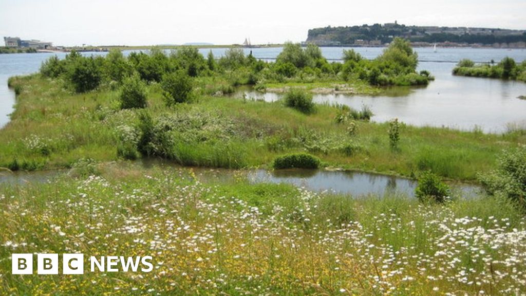 Green Flags awarded to 180 Welsh parks and green spaces - BBC News