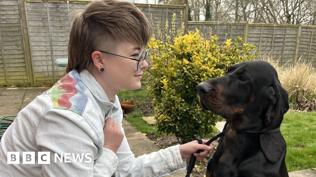 Autism no barrier for Crufts debutant - BBC News