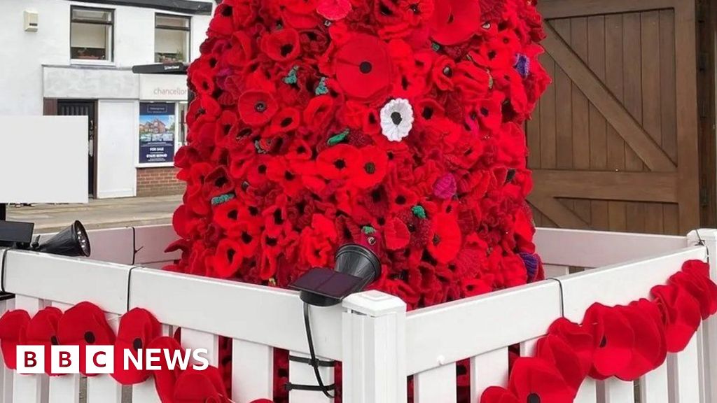 Thatcham: Call for knitters to create 'heartfelt' poppy tribute - BBC News