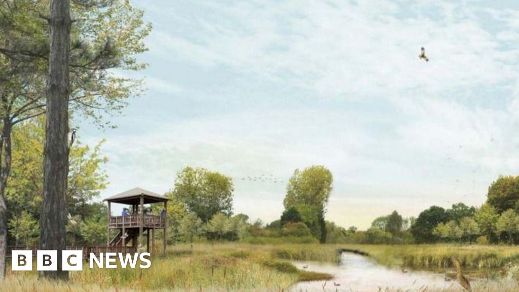 Plans for nature reserve to be considered by Coventry councillors