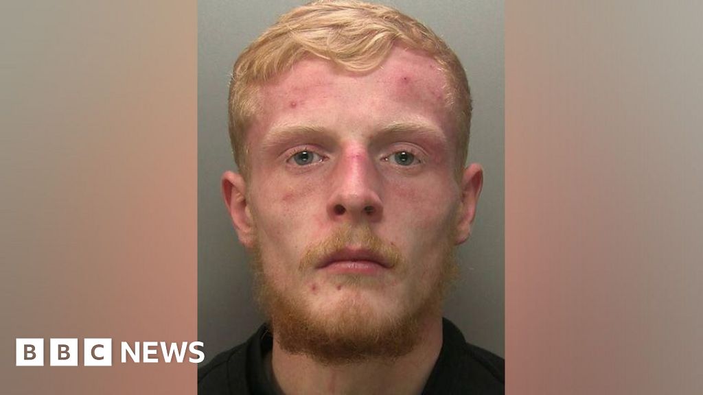Sutton: Man jailed for involvement in multiple car thefts - BBC News