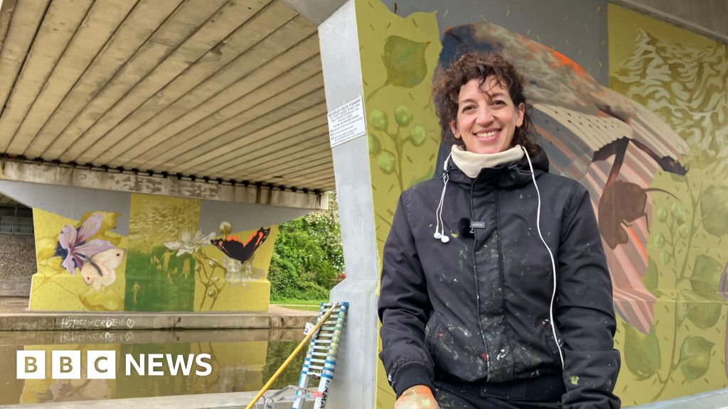 Artist creates murals to transform Beverley Beck graffiti hotspot - BBC ...