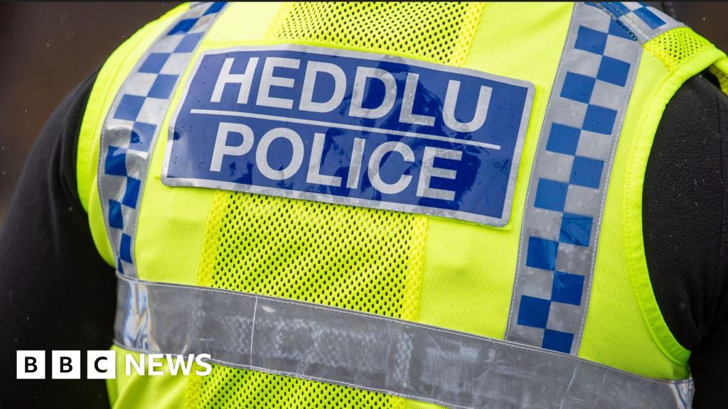 Swansea: Police ban over-10s from gathering in city centre