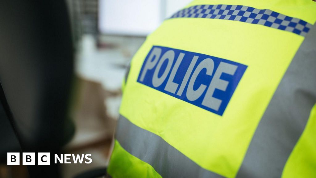 Man arrested as dog walker injured by XL bully dog in Peacehaven