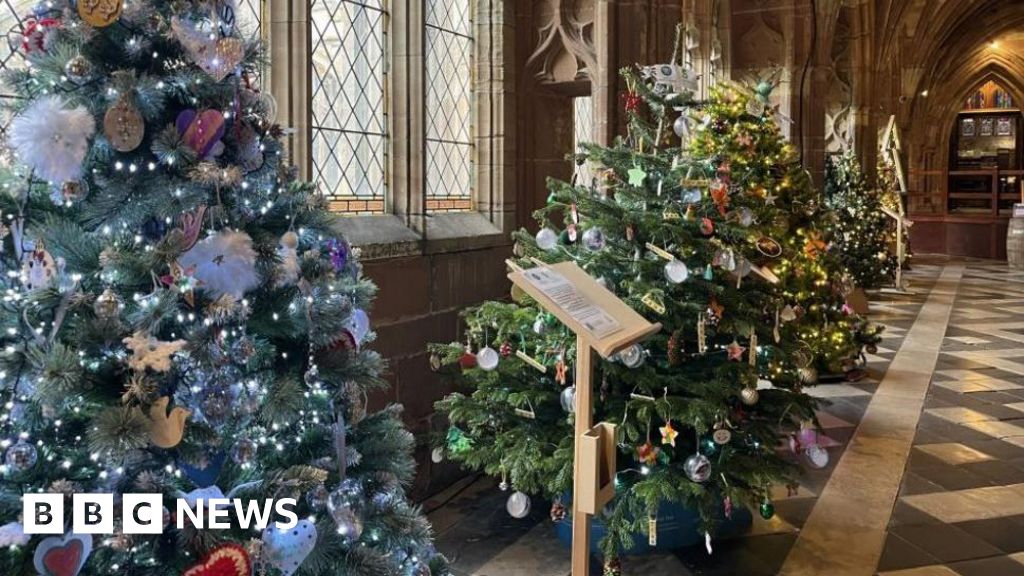 Worcester's biggest ever cathedral Christmas tree festival